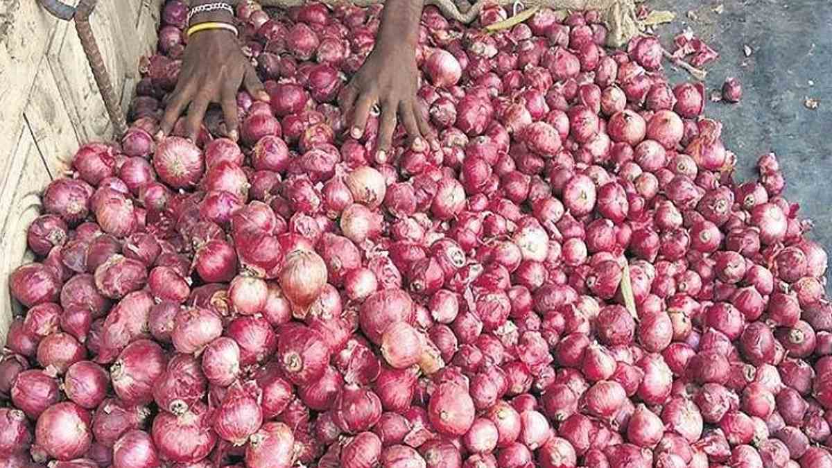 Onion Price: आंसू ला रहा प्याज, 57 प्रतिशत बढ़ी कीमतें, अब केंद्र ने उठाया बड़ा कदम | Onion ...
