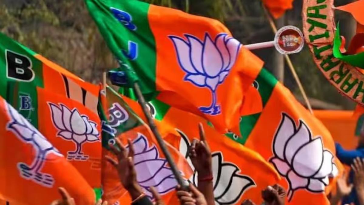 Telangana Elections: तेलंगाना में जोर पकड़ रहा बीजेपी का इलेक्शन कैंपेन, किसका होगा फायदा? जानिए ...