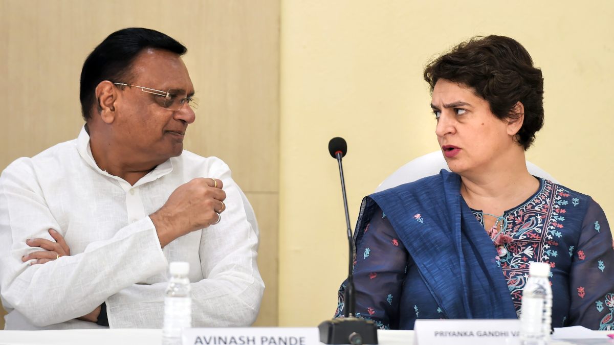 Avinash Pande: कौन हैं अविनाश पांडे? जिन्हें प्रियंका गांधी की जगह ...