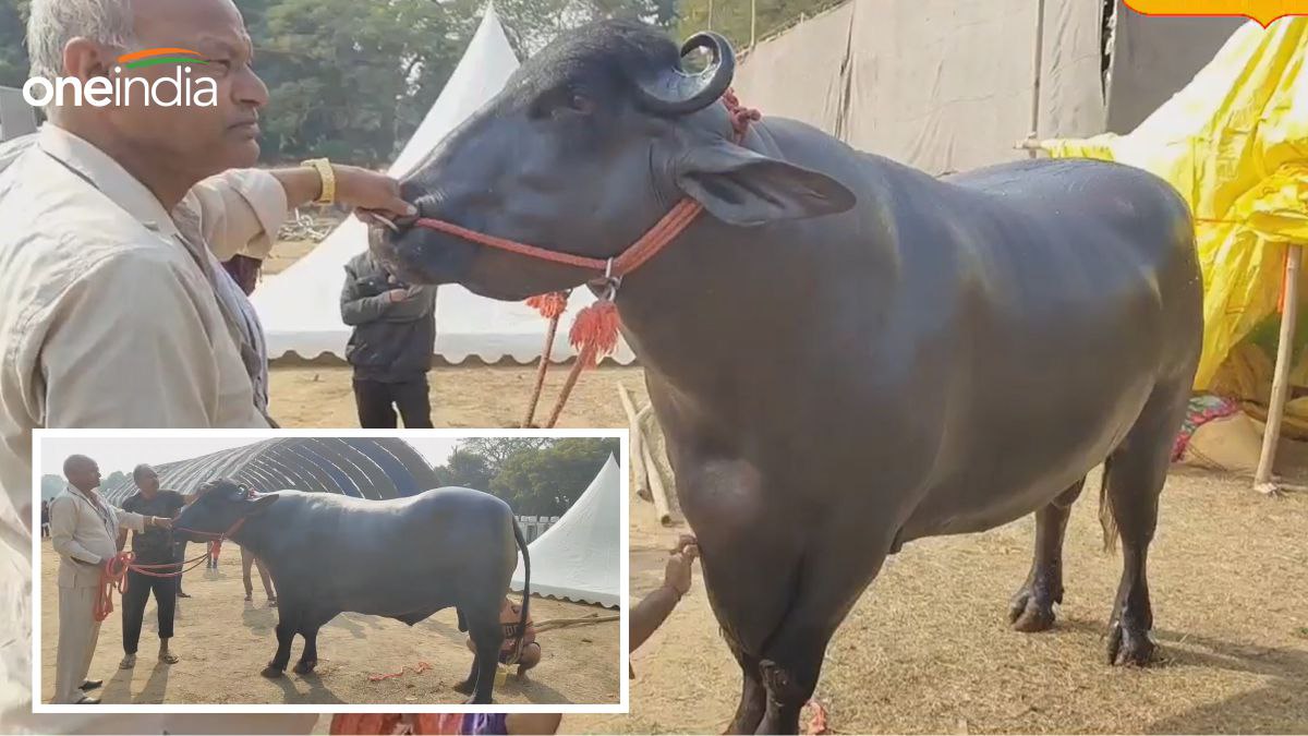 मिलिये 30 हजार बच्चों के बाप से... हर महीना कमाता है 8 लाख, सेवा में ...