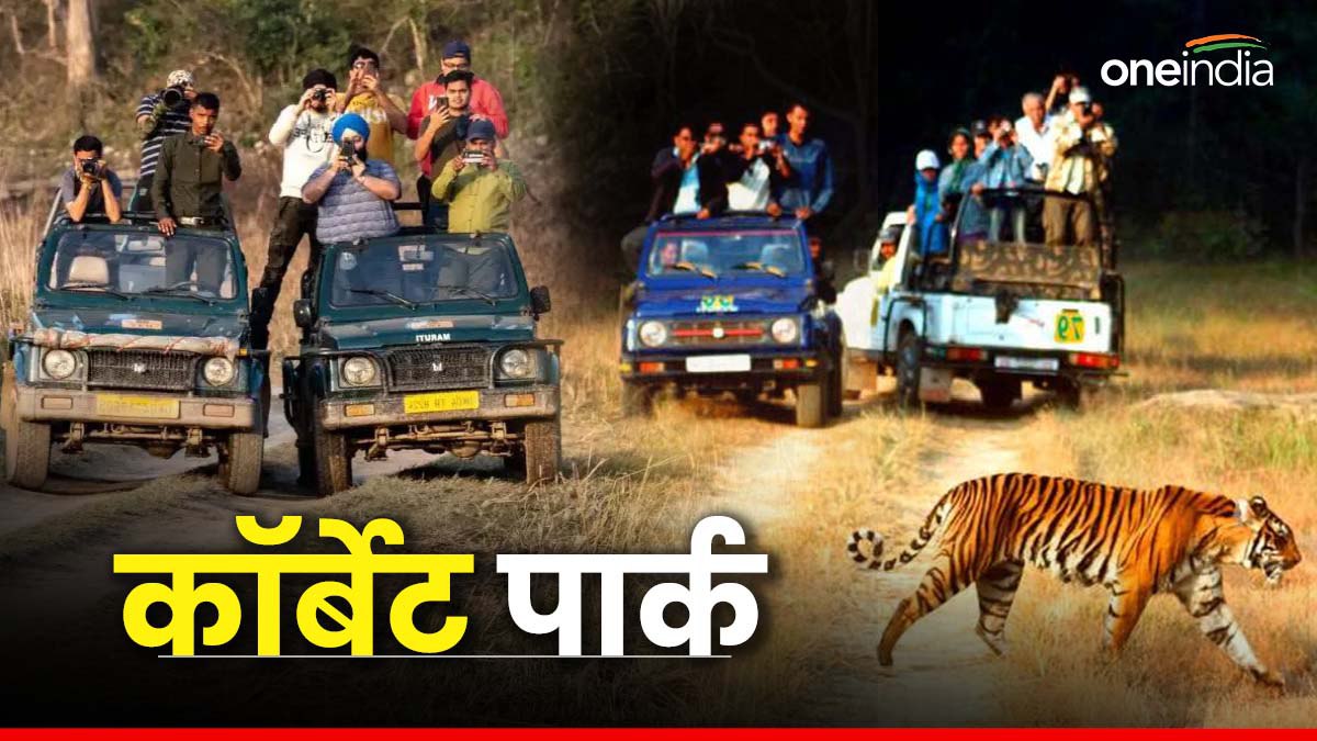 Jim corbett national park जंगल की सफारी और एडवेंचर हो जाएं तैयार,कब के मिल सकते हैं टिकट,ऐसे ...