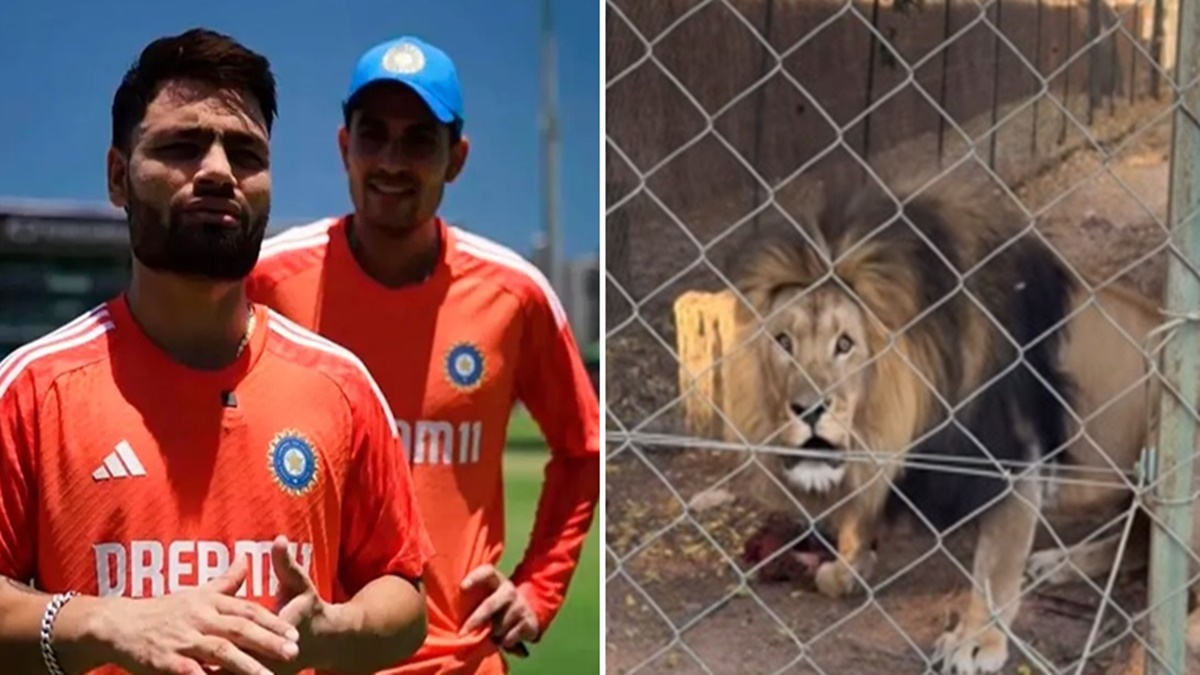 मैच से पहले भारतीय खिलाड़ियों के साथ ये क्या हुआ? शेर के सामने बब्बर ...