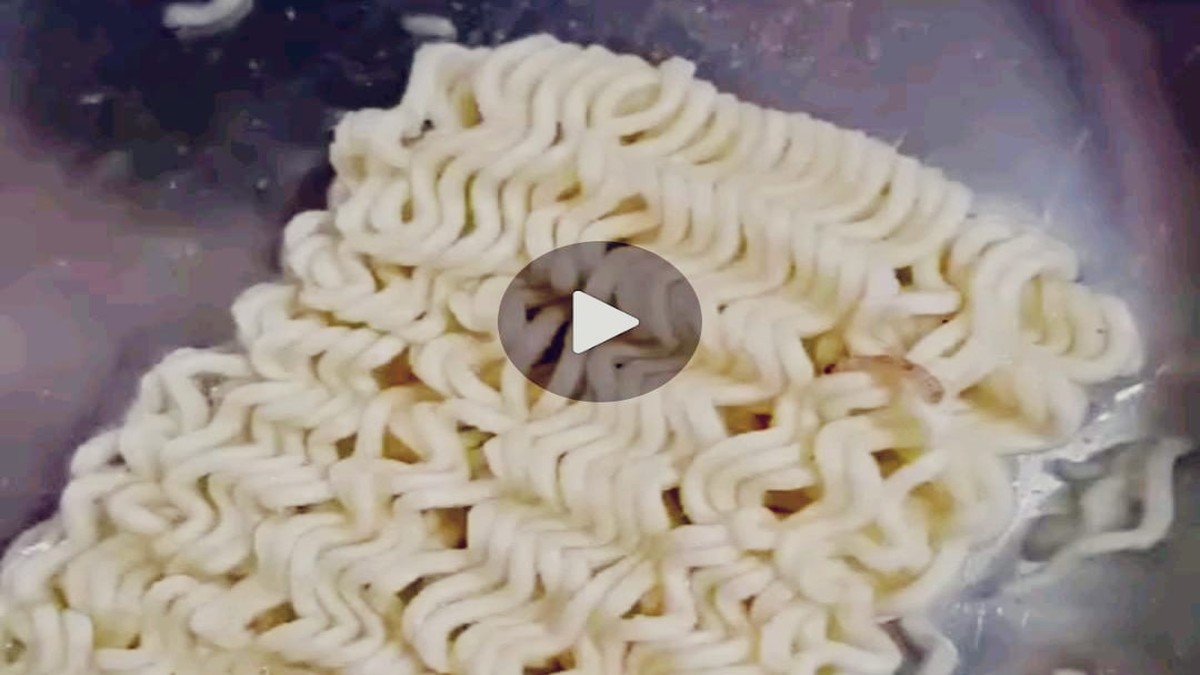 Jabalpur News: मैगी नूडल्स में निकले जिंदा कीड़े, उपभोक्ता ने वीडियो ...