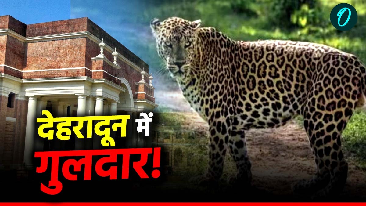 देहरादून में गुलदार! पर्यटकों की पहली पसंद इस संस्थान को 5 दिनों के लिए ...