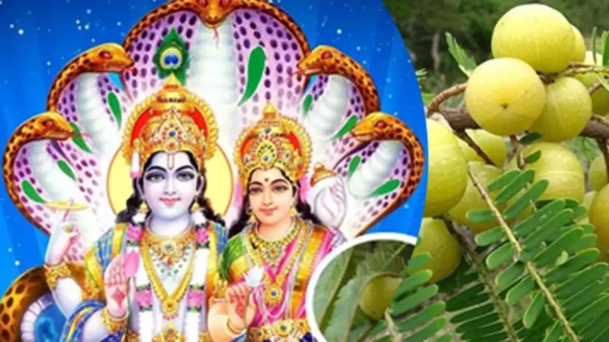 Amla Navami 2024 Katha: जानिए आंवला नवमी से जुड़ी कथाएं | Amla Navami ...