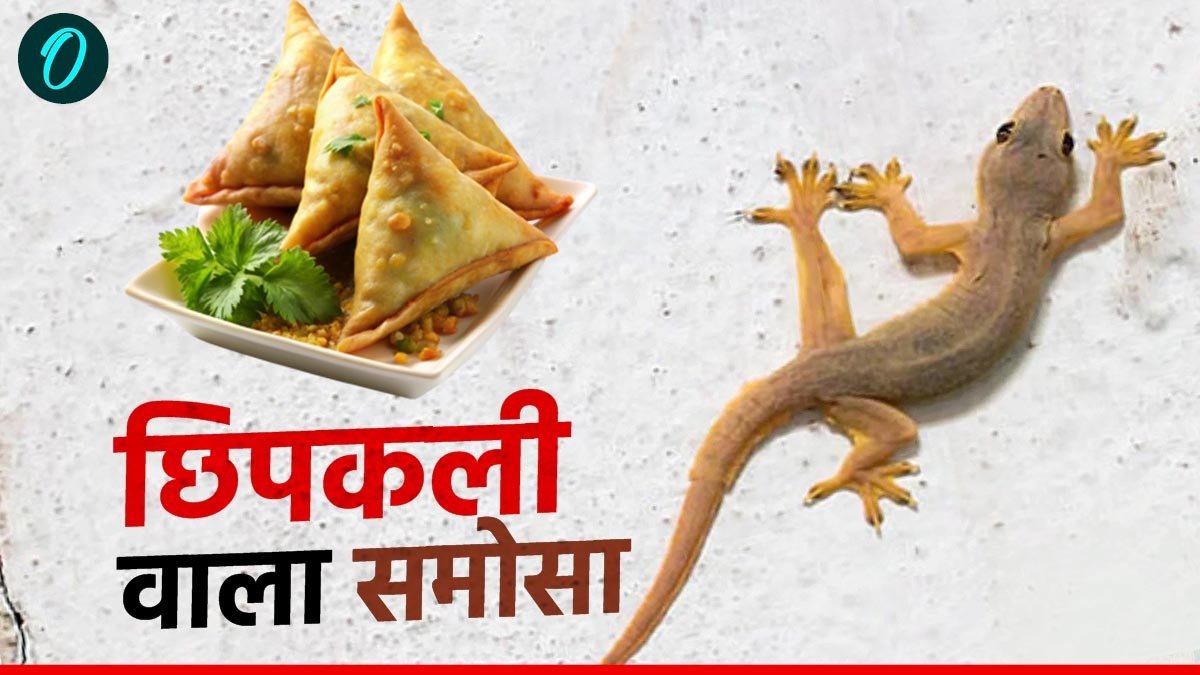 Rewa News: छिपकली वाला समोसा खाने से बच्चे की तबीयत बिगड़ी, इंटरनेट पर ...