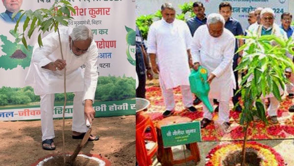 बिहार में जैव विविधता संरक्षण को मिलेगी नई दिशा, 1500 खास वृक्षों की ...