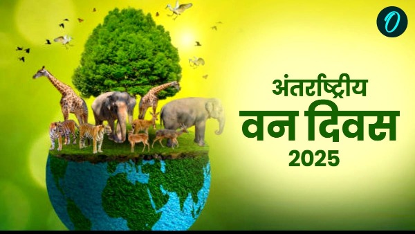 आखिर 21 मार्च को ही क्यों मनाया जाता है अंतर्राष्ट्रीय वन दिवस? क्या है ...
