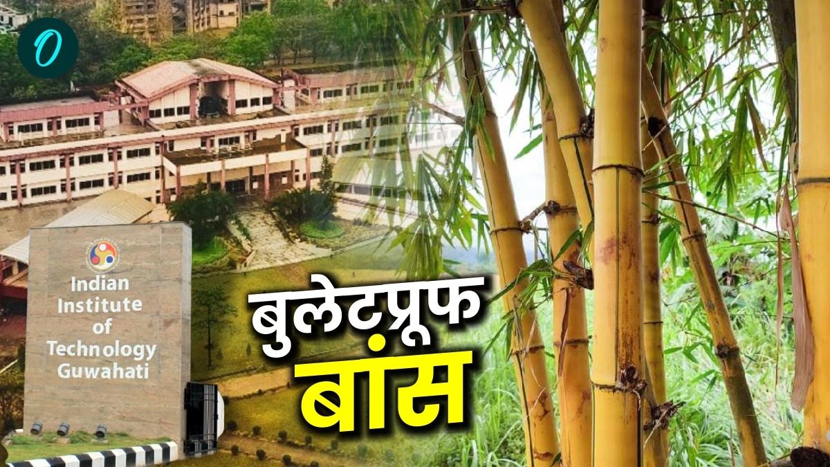 IIT Guwahati: लकड़ी और लोहे को टक्कर देगा बांस! IIT गुवाहाटी की अनोखी ...