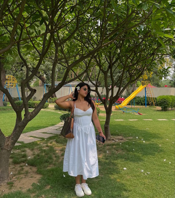 IAS आस्था सिंह: 21 की उम्र में UPSC क्रैक करने से क्या फायदा, कलेक्टर के बाद कौन-कौन से ताकतवर ...