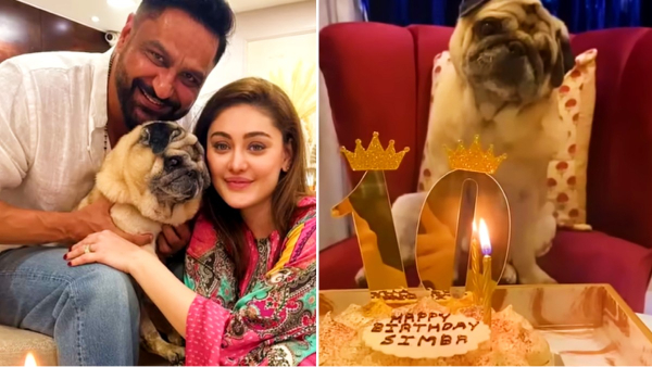 Shefali Jariwala की मौत के गम में क्या 'बेटे' की हो गई डेथ? वायरल VIDEO ...