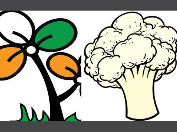Kerala polls: Trinamool gets cauliflower as poll symbol - Oneindia News