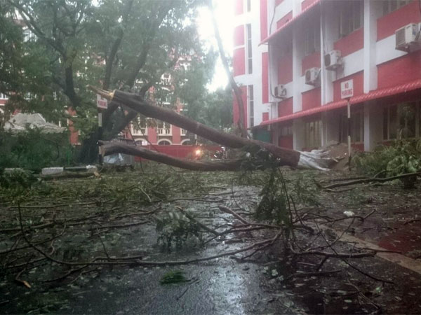 In Pics- Cyclone Vardah takes a toll on Tamil Nadu, Puducherry and ...