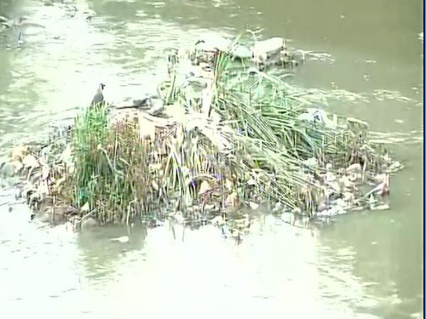 Death of a river: How pride of Hy’bad, Musi, has turned into a cocktail ...