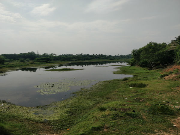 Karnataka elections: With Shimsha River drying up in Maddur, farmers ...