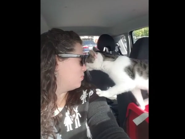 Not only dog but this animal also knows to thank humans for doing it a ...