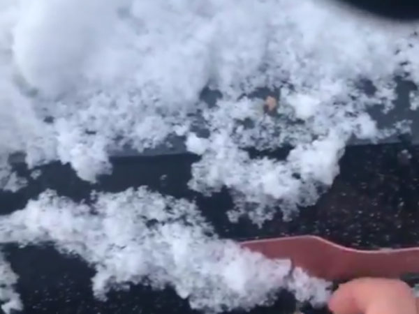 Polar vortex has left Elon Musk’s Tesla cars frozen, literally ...