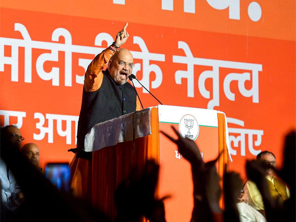 Will Amit Shah get a top billing in the Modi Cabinet or stay on as ...