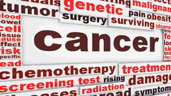 Upgradation of Anna Cancer Research Institute will be over in a year ...
