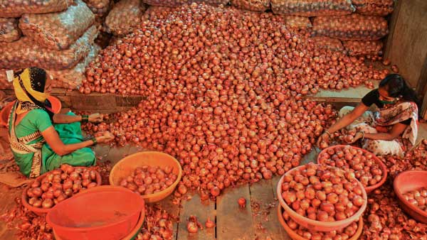 For second day no Onion auction at Nashik mandis - Oneindia News