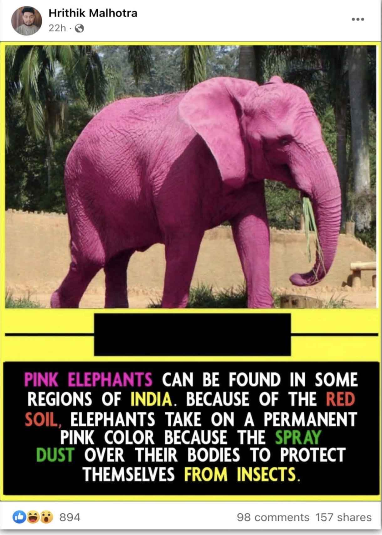 Fact Check: Have pink elephants been found in India - Oneindia News