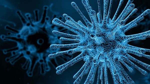 What is Hendra Virus? Should you be worried? - Oneindia News