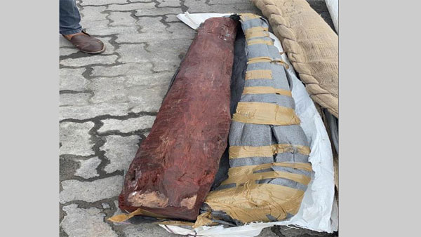 DRI, Customs seize 10,230 kg of red sanders worth of Rs 6 cr from ...