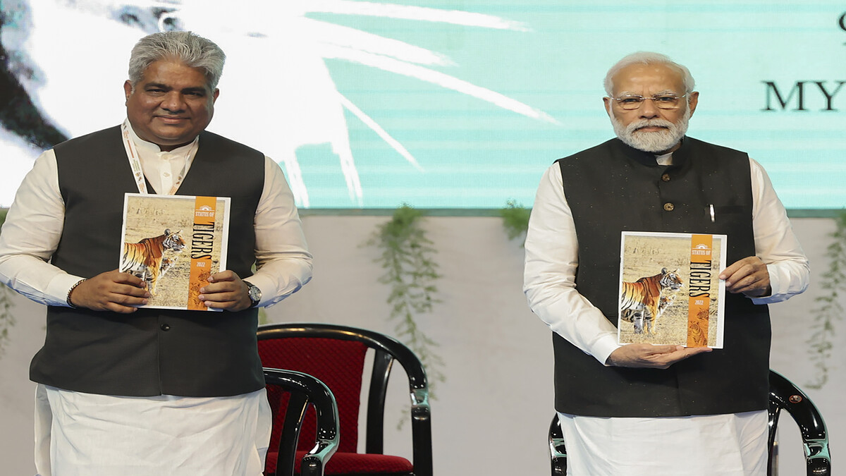 What is International Big Cat Alliance? - Oneindia News