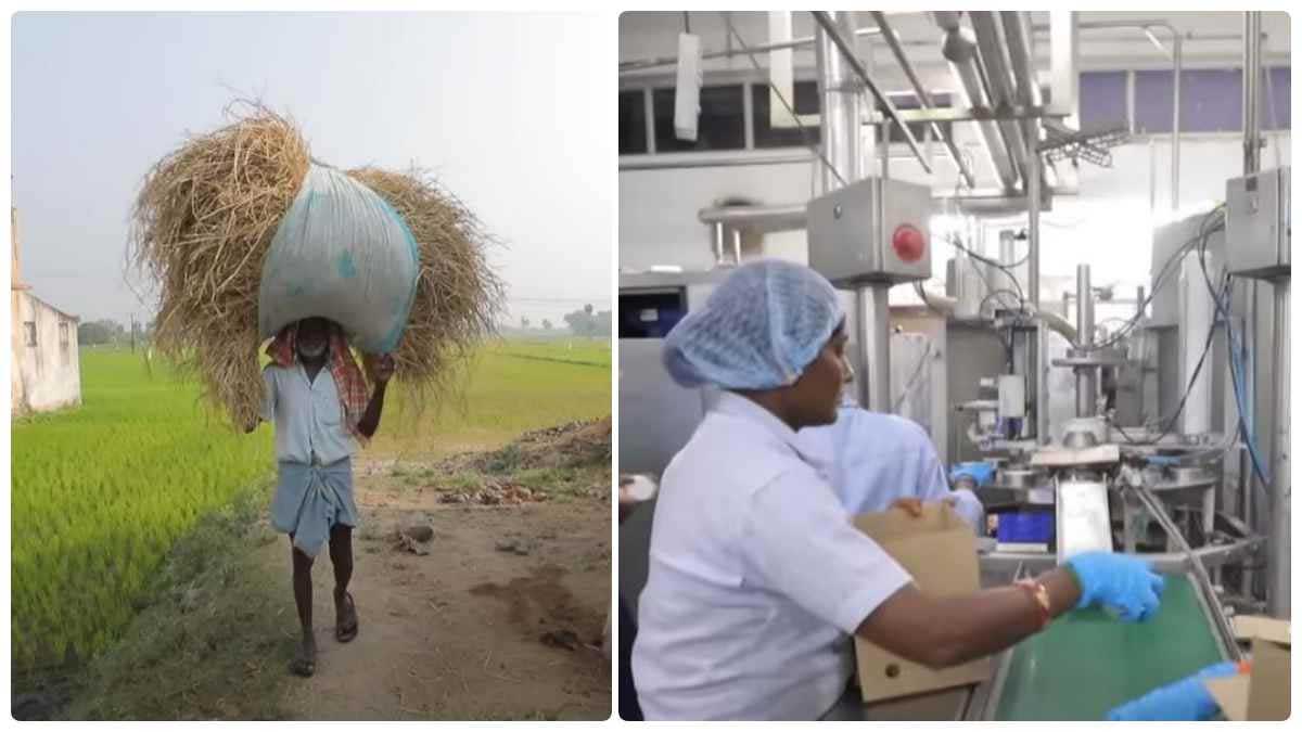 Aavin Society's success story includes 60 lakh milk packets every day ...