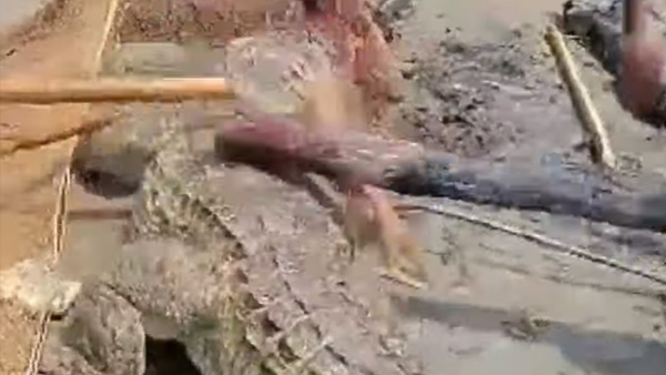 Crocodile Beaten to Death by Locals After It Killed 10-Year-Old Boy ...