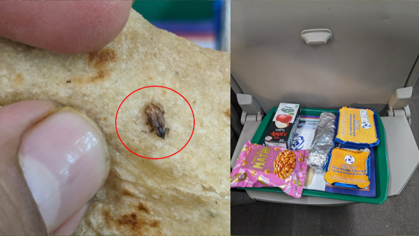 Passenger Finds Cockroach Rolled Into Roti In Meal Served On Vande ...