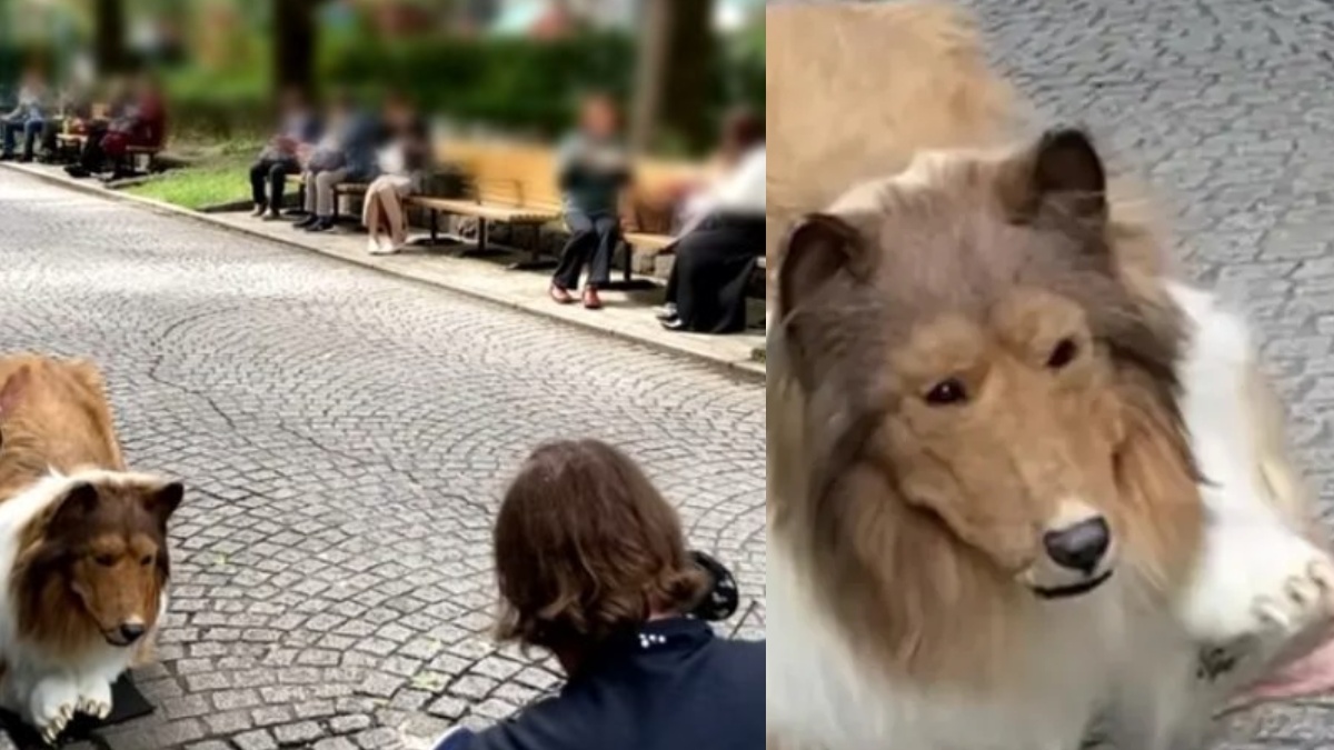 Japanese Man Spends Rs 16 Lakh To Transform Into Dog, Goes for Walk in ...