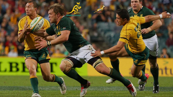 Wallabies v Springboks Live Stream: Watch Rugby Championship 2023 - Oneindia News