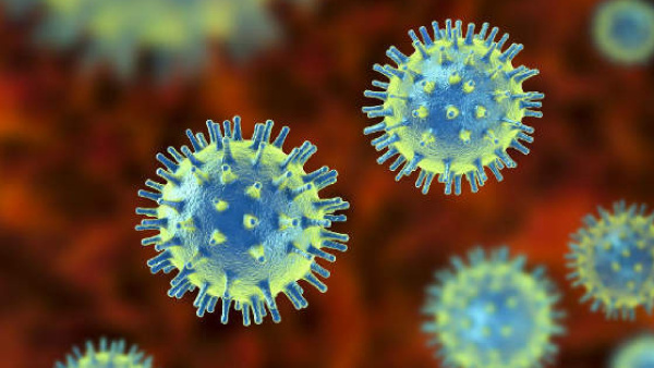 New Covid-19 Variant BA.2.86 Under WHO's Monitoring List - Oneindia News