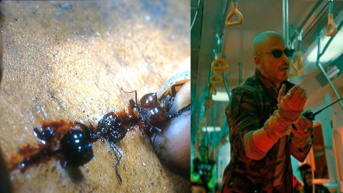 Jawan: Did Shah Rukh Khan-Starrer Movie Copy This Scene From Apocalypto ...