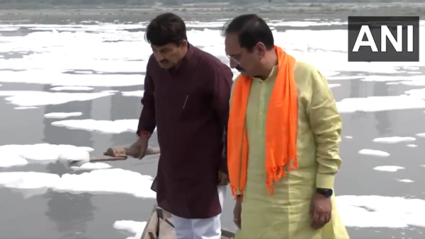 BJP Leader Says Cows Also Drinking From Here Amid Yamuna Frothing ...