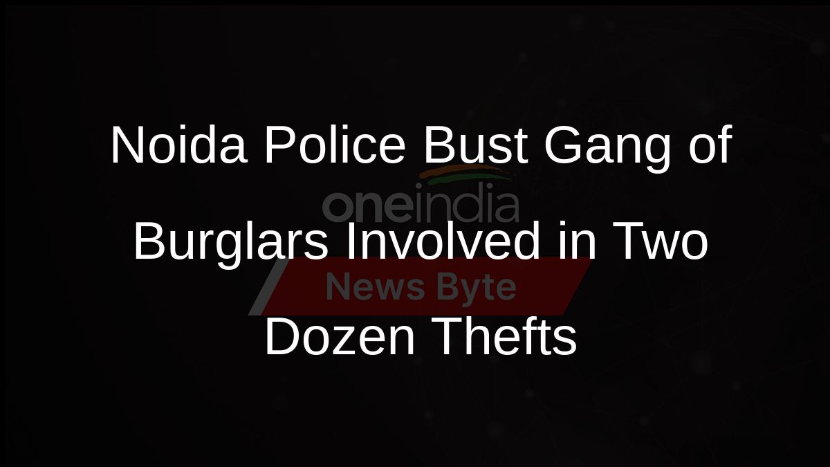 Noida Police Bust Gang Of Burglars Involved In Two Dozen Thefts