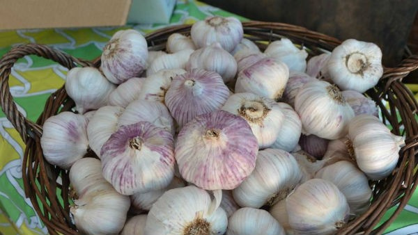 Why Have Garlic Prices Doubled To Rs 400/kg In A Few Days? - Oneindia News