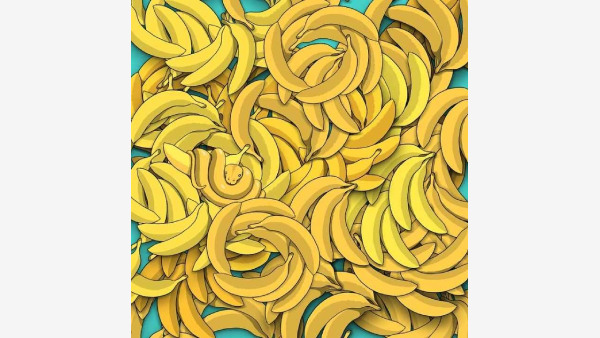 Optical Illusion To Test Your IQ: Find The Hidden Snake Among Bananas ...