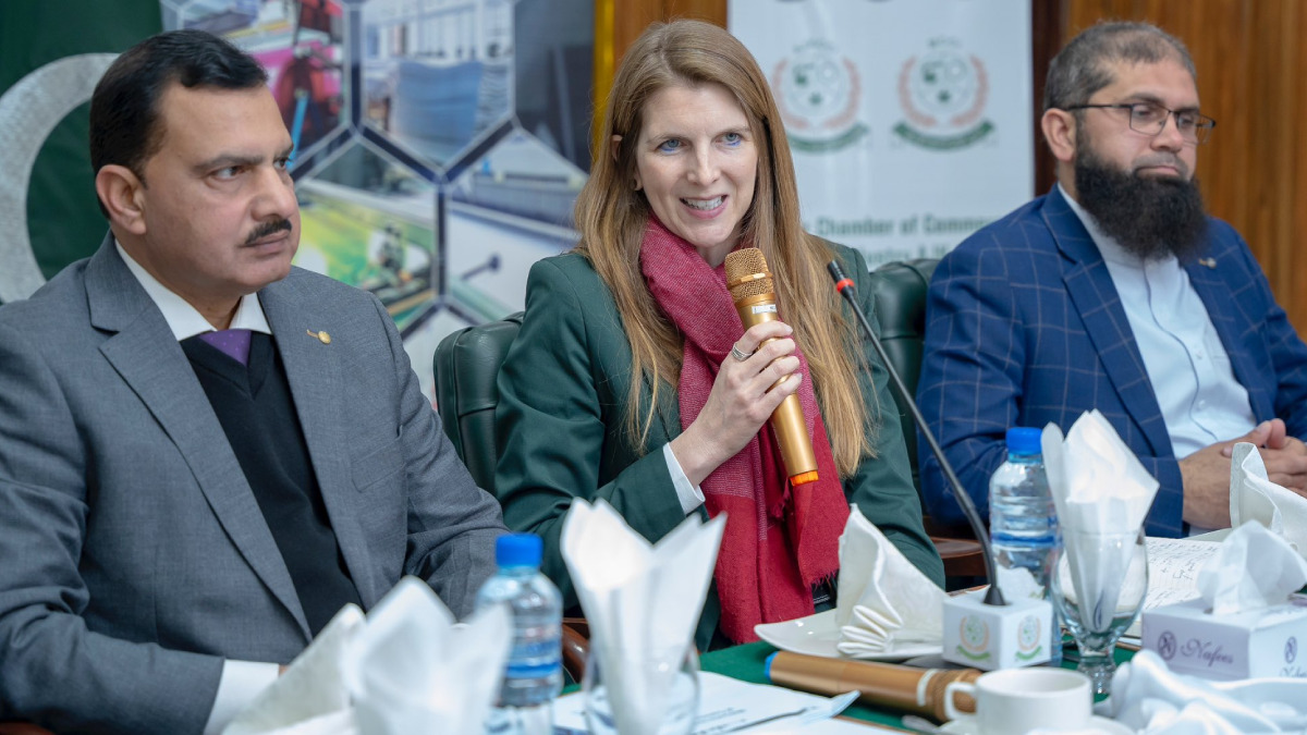 India Strongly Objects To POK Visit By British Envoy, Deems It 'Highly ...