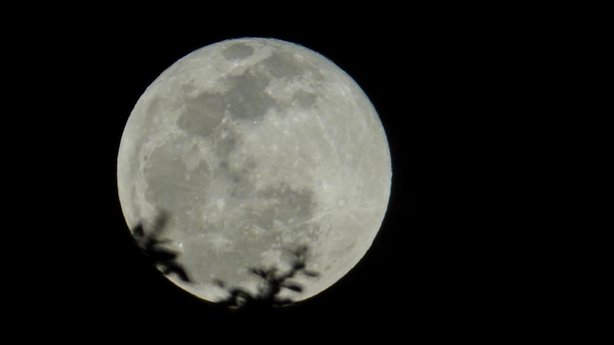 First Full Moon On January 25: Know Its Effects On All Zodiac Signs ...