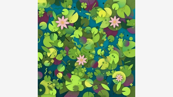 Optical Illusion Challenge: Can You Spot The Hidden Turtle Within 21 ...