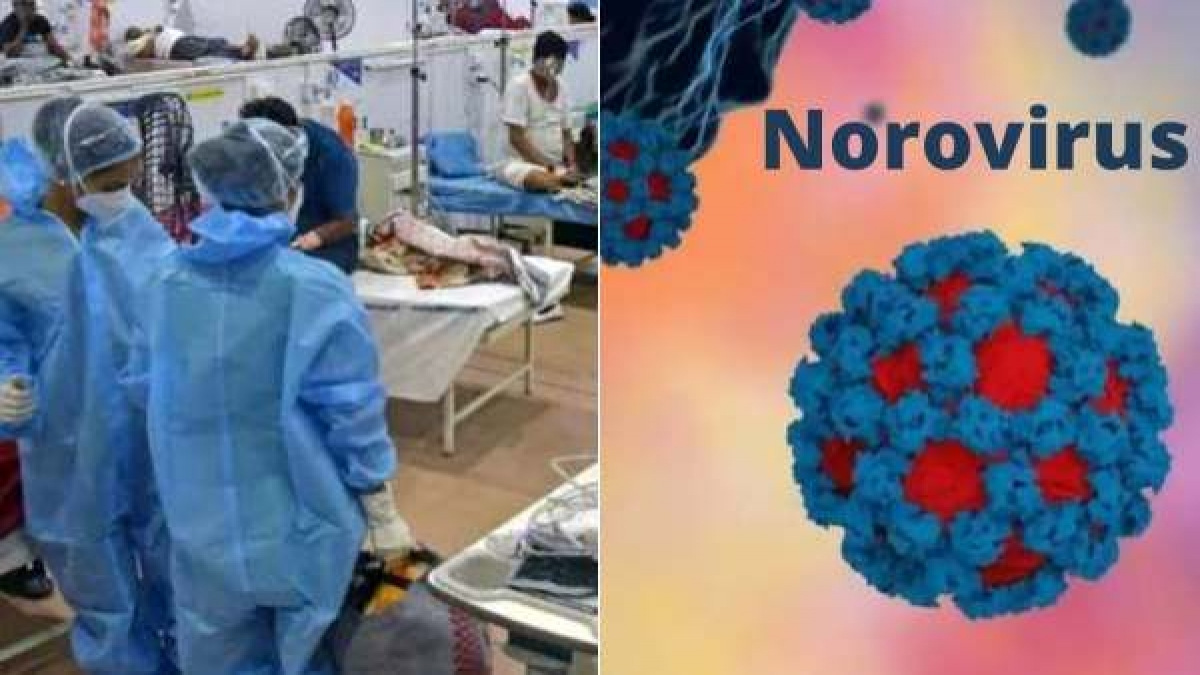 Norovirus Symptoms: Stomach Bug Cases On Rise In US? What Is the ...