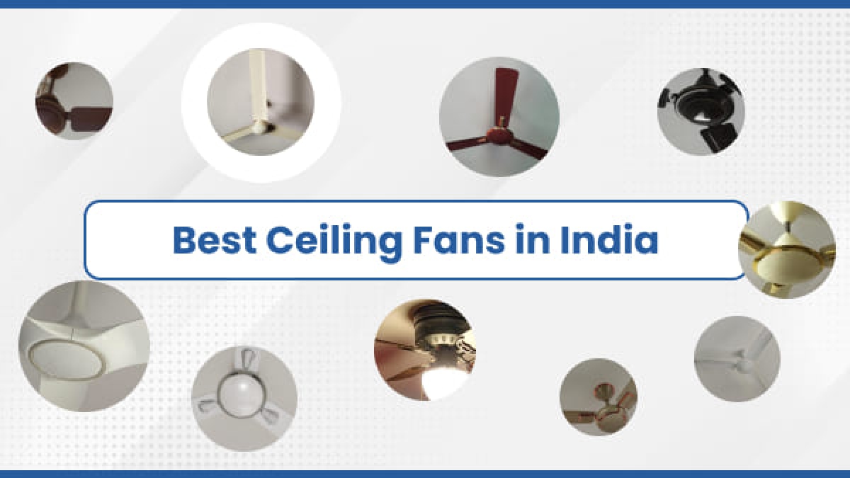 Top 10 Best Ceiling Fans in India That Will Blow you Away - 2024 ...