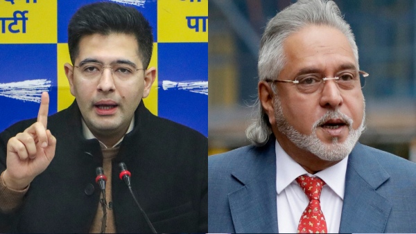 Punjab Police Files FIR Against Capital TV, Owner For Comparing MP Raghav Chadha With Vijay ...