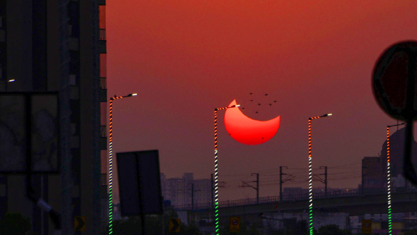 Surya Grahan 2024: Google Introduces Special Total Solar Eclipse Animation; Follow Steps To See ...