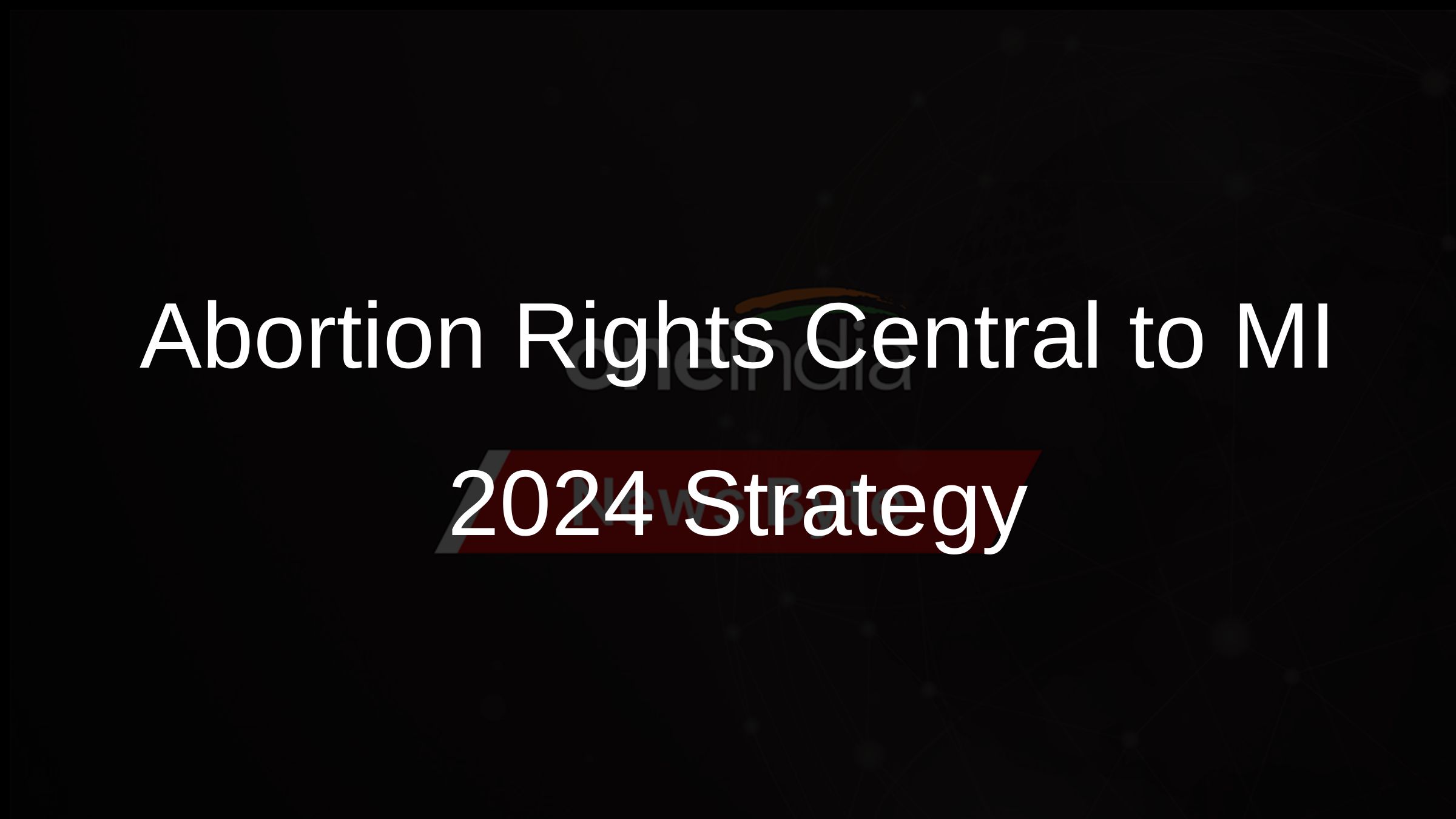 Democrats Highlight Abortion Rights as Key Issue in Michigan for 2024 ...