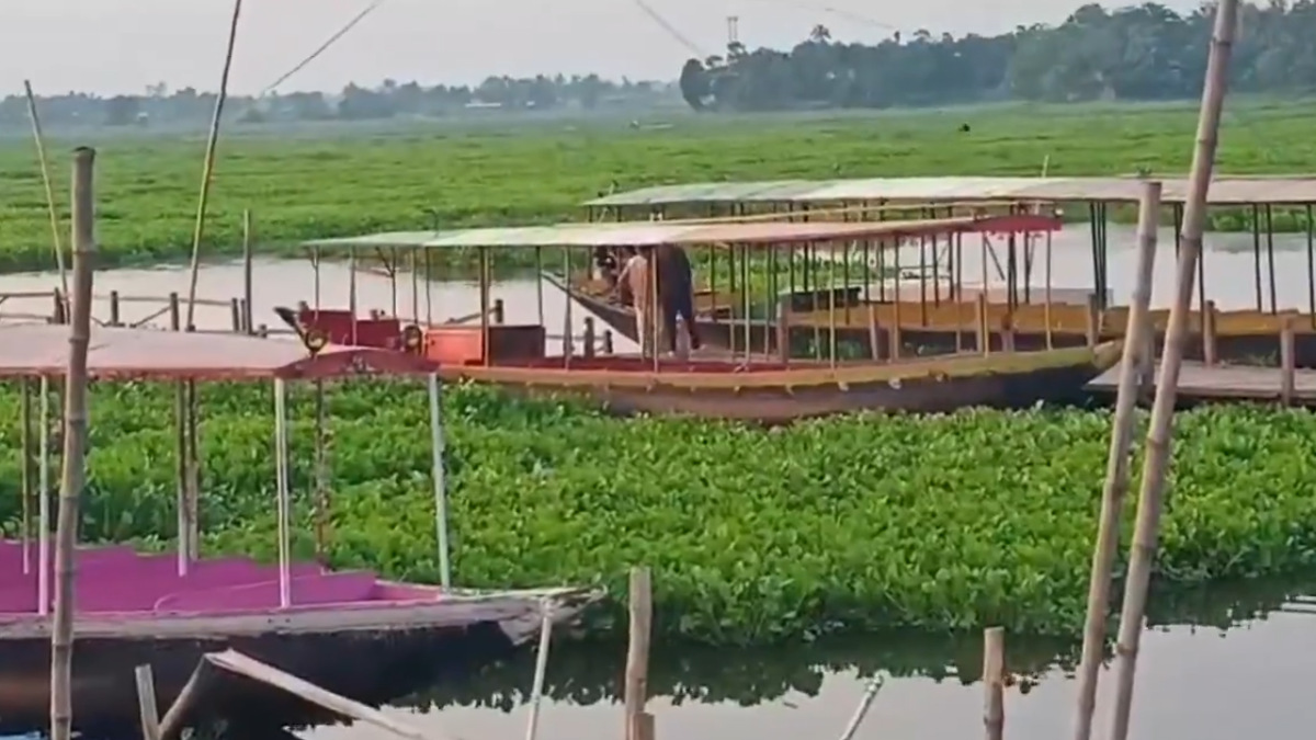 Tripura: Government To Undertake Cleaning Drive Of Rudrasagar Lake To ...