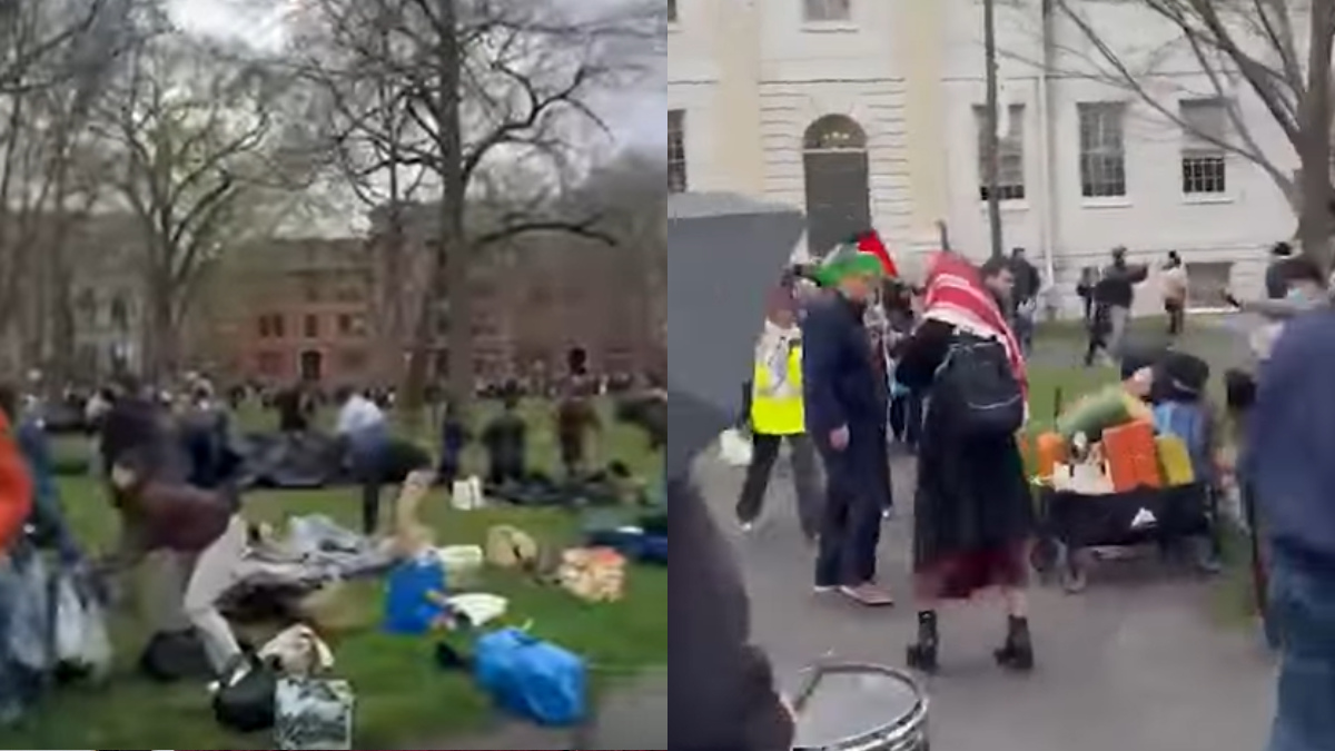 US Student Protests Escalates: 282 Arrests At US Universities Despite ...