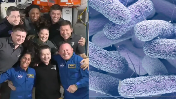 'Spacebug' Detected In ISS, Trouble For Crew Including Astronaut Sunita Williams - Oneindia News